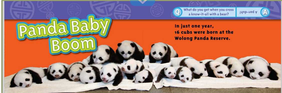 Pandas StarMasters / Find Chess Clubs - connect with players Worldwide ...
